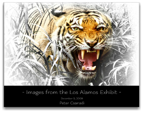 My Animal Photo Book – PAC's Worlds