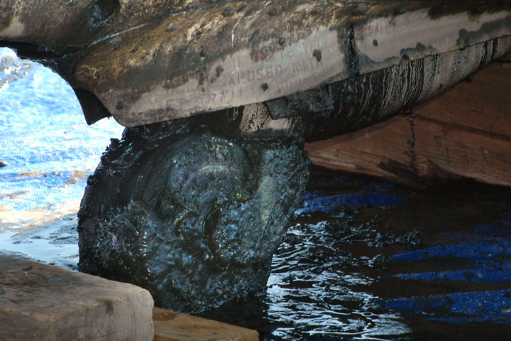 Finally Posted My Helldiver Recovery Pics – PAC's Worlds